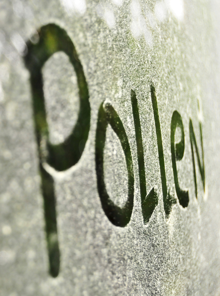 Mitigating the Effects of Pollen With DFW Commercial Window Cleaning ...